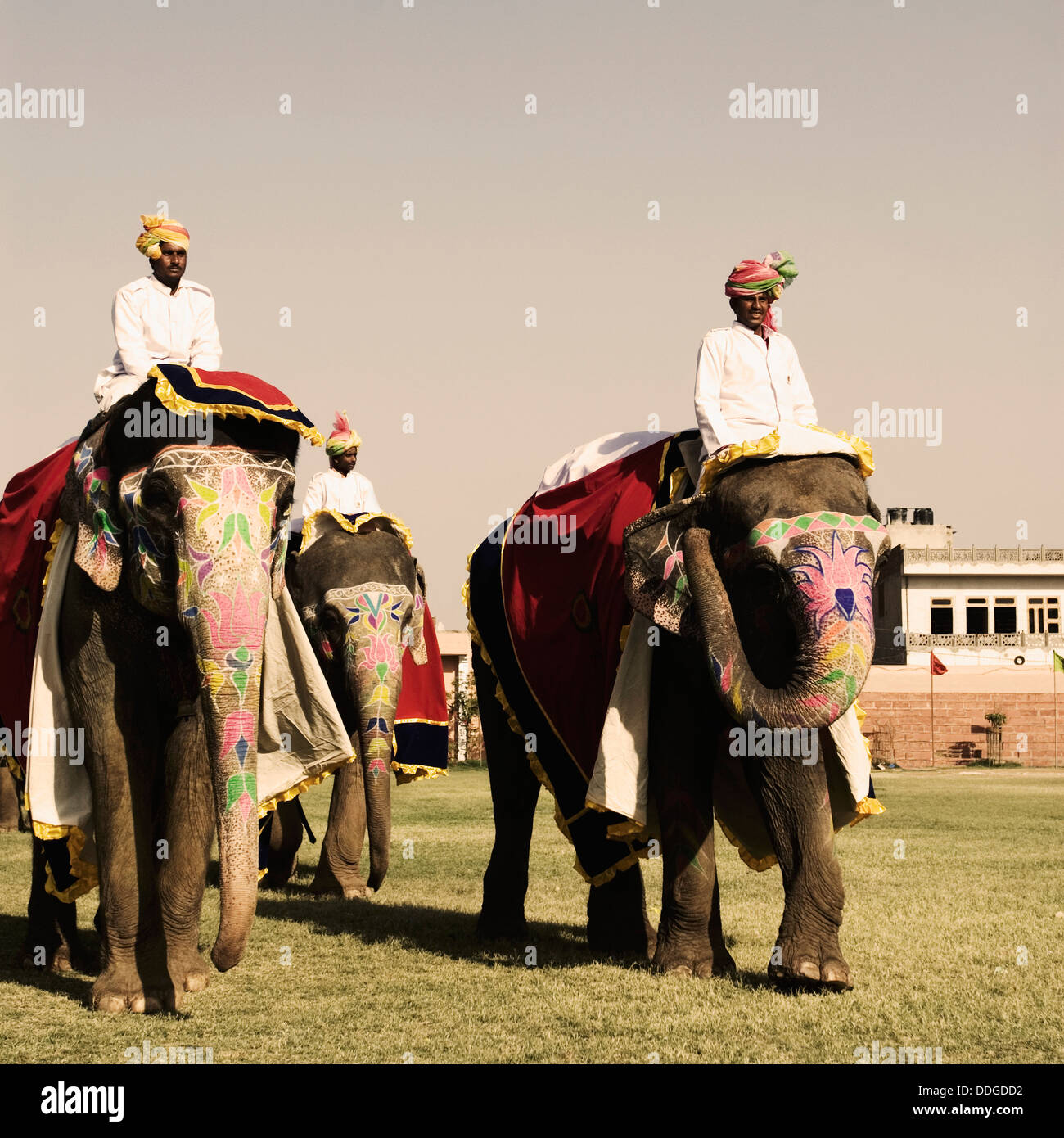 Royal elephant procession during Elephant Festival, Jaipur, Rajasthan ...
