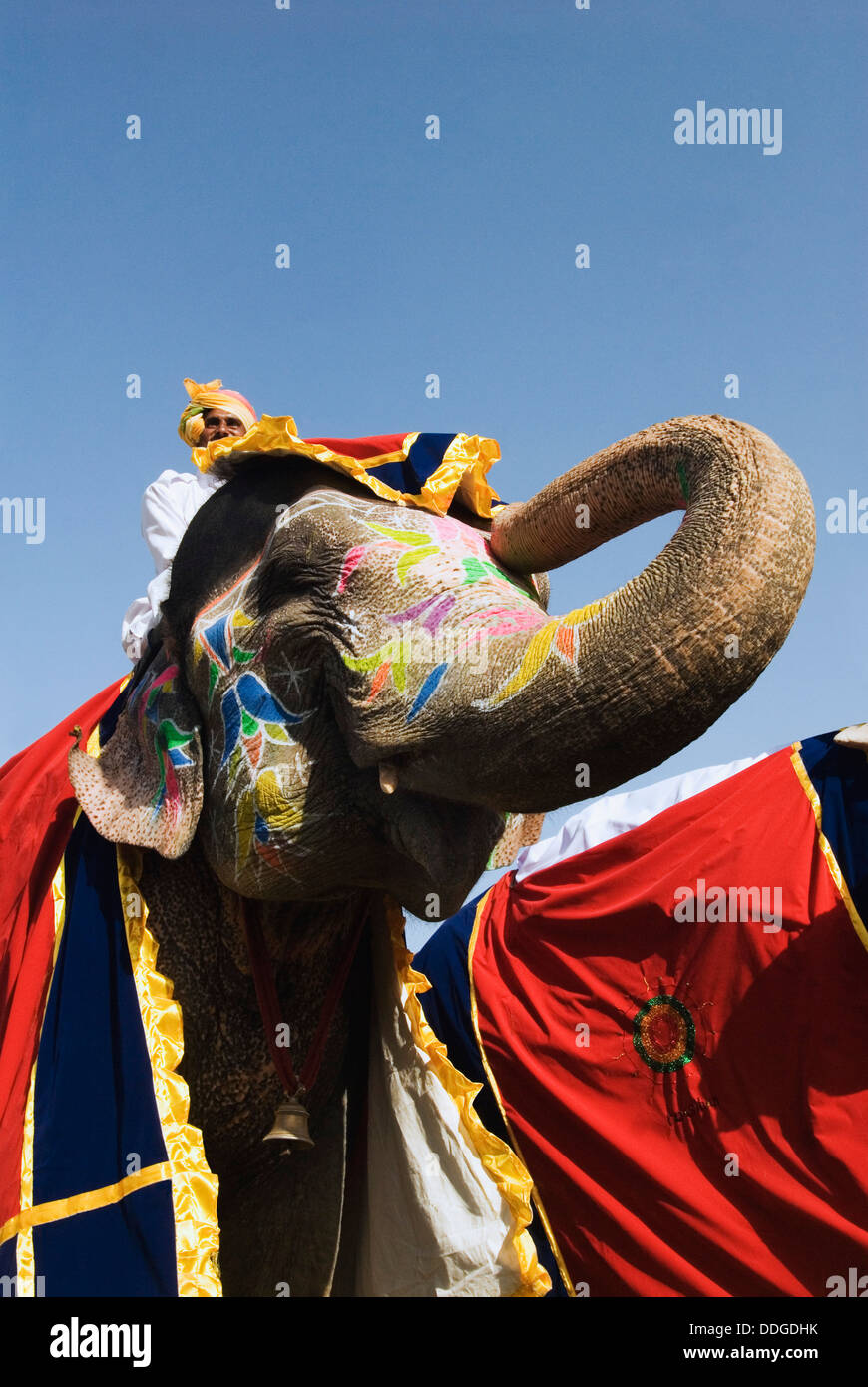 Elephant procession during Elephant Festival, Jaipur, Rajasthan, India ...