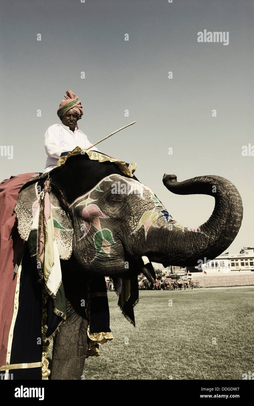 Royal elephant procession during Elephant Festival, Jaipur, Rajasthan ...