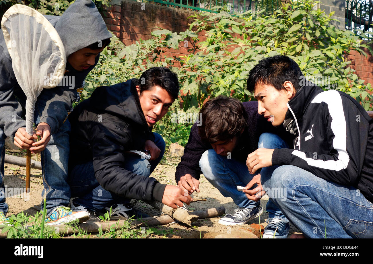 Botany students in the botanical garden Stock Photo - Alamy