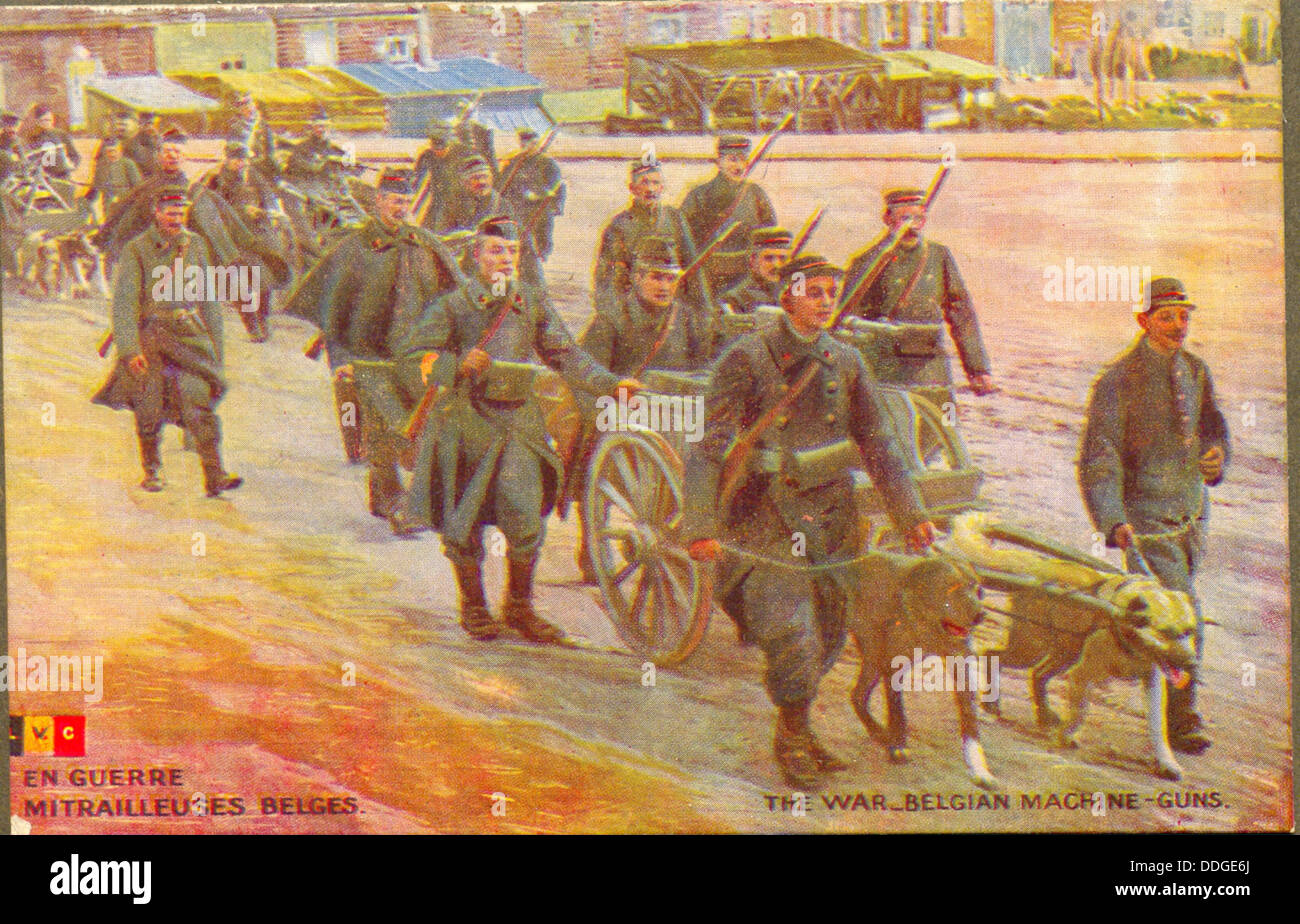 World War One postcard of Belgian Machine Guns transported by dogs ...
