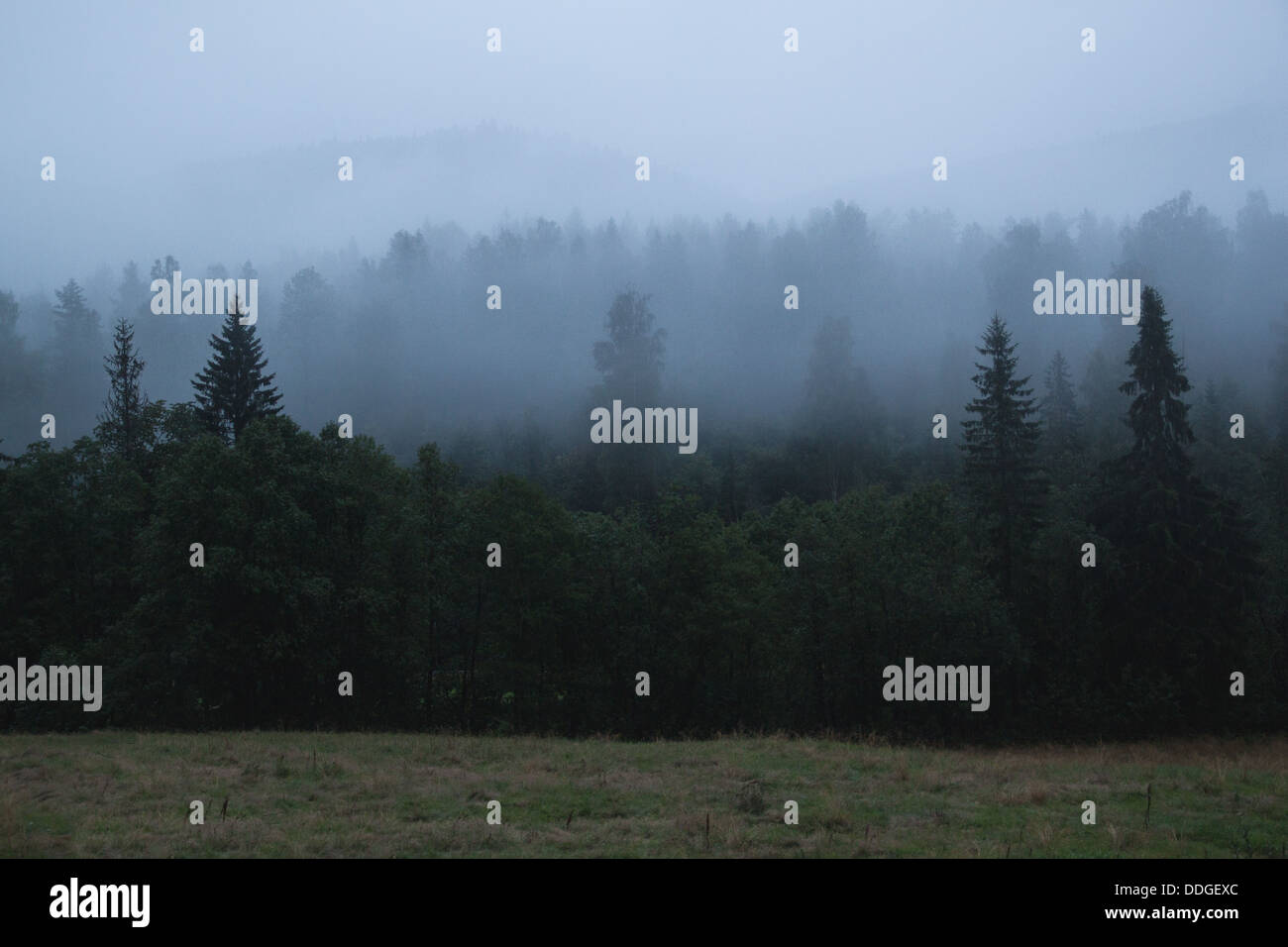 A gloomy look over the Telemark nature while setting sun Stock Photo ...