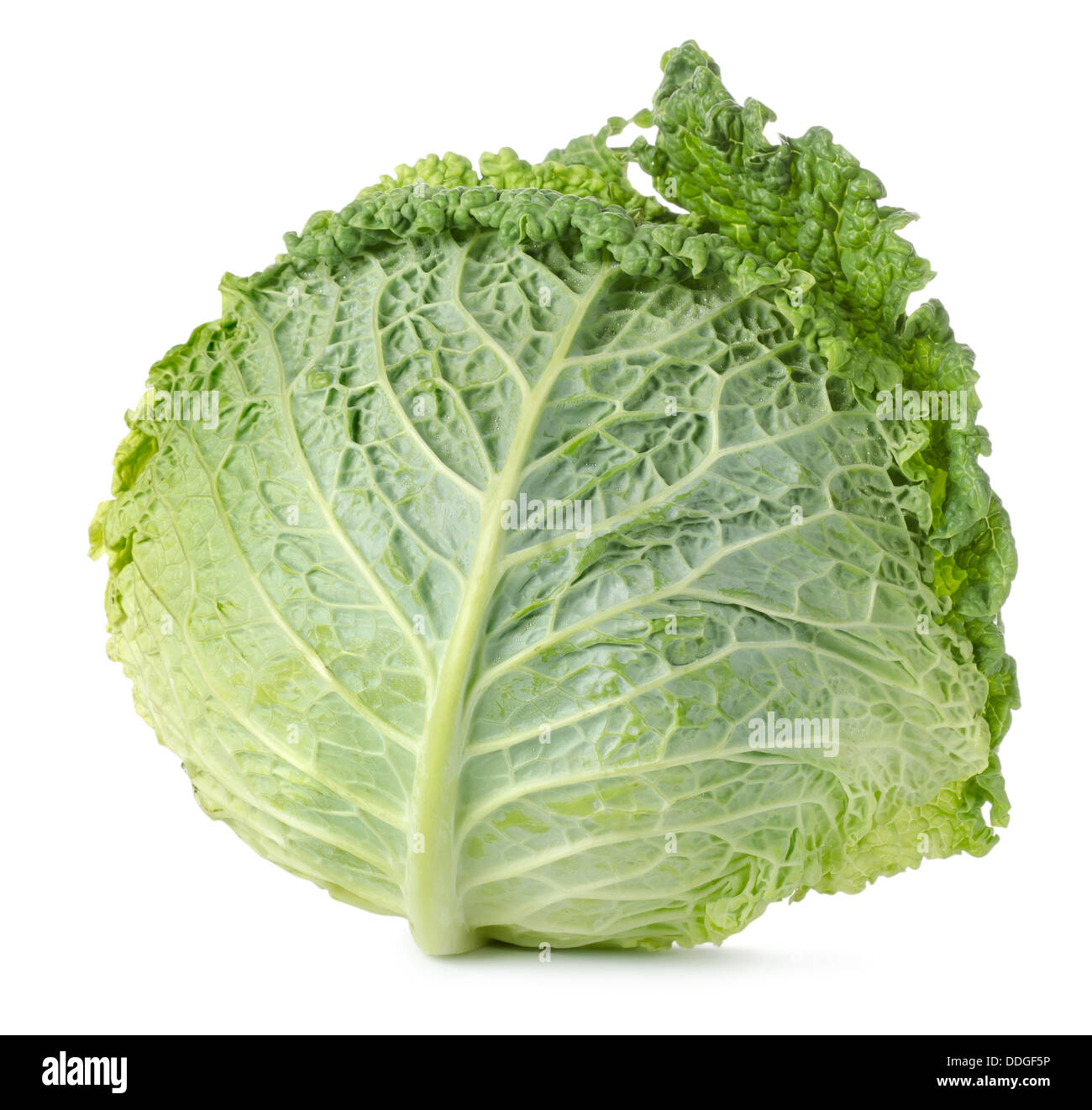 Savoy cabbage isolated Stock Photo - Alamy