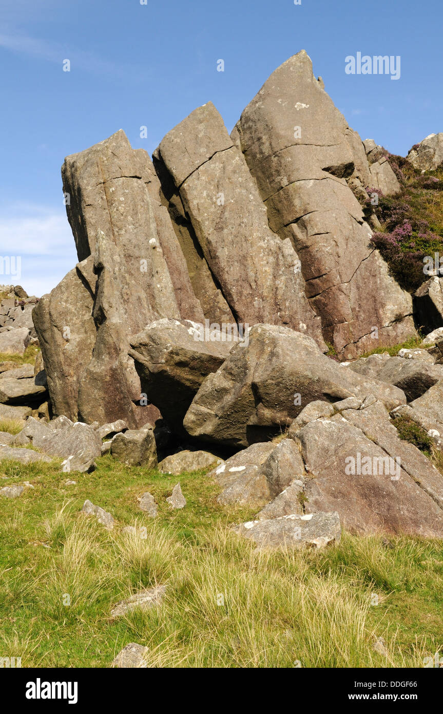 Bluestones outcrops of spotted dolerite Carn Meini or Carn Menyn ...