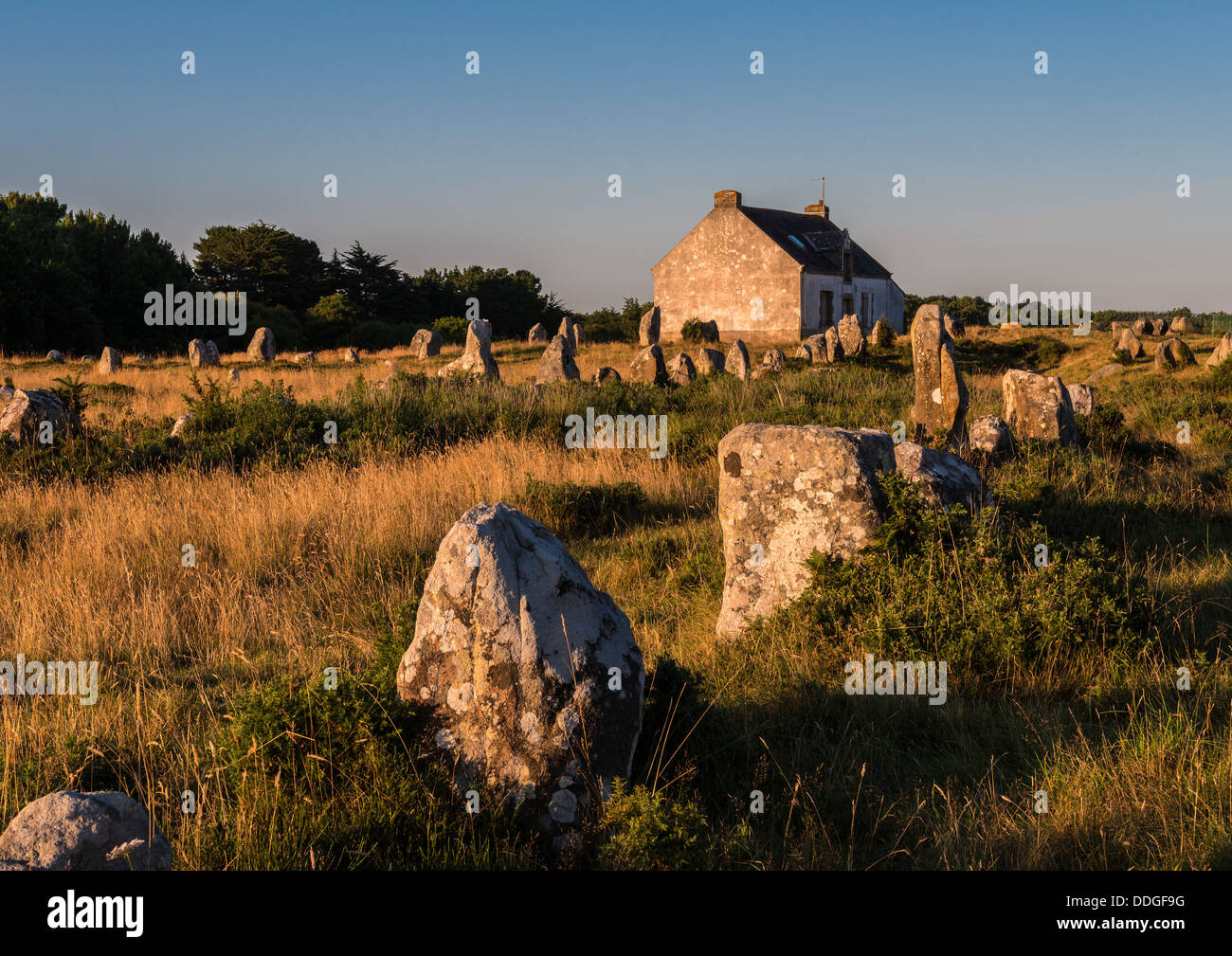 Standing Stone 3 Stock Photo - Alamy