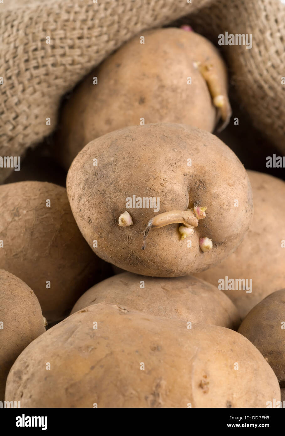 Square sack hi-res stock photography and images - Alamy