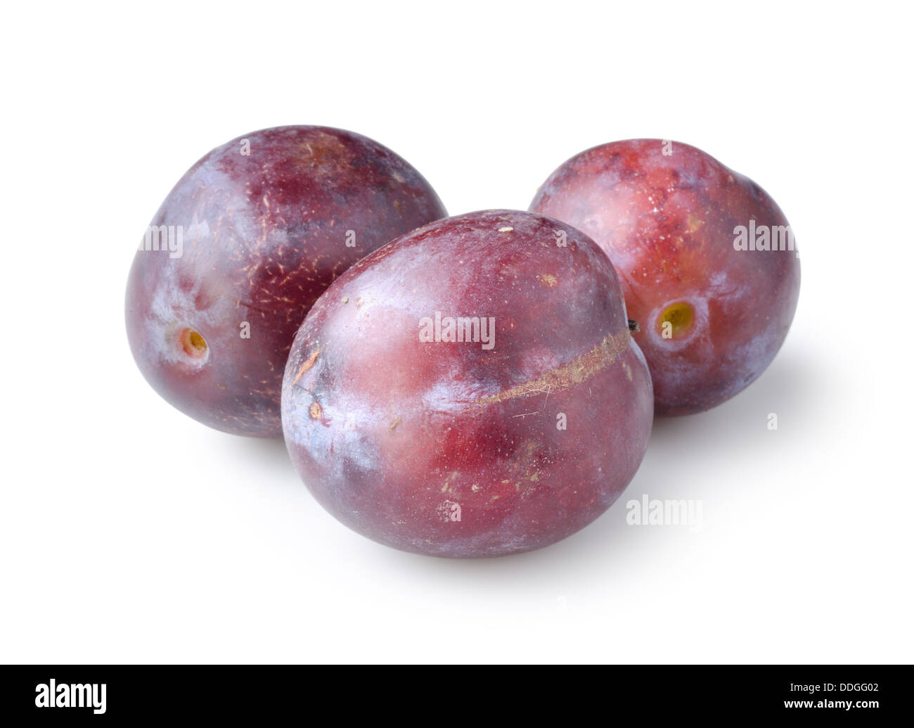 Three plums isolated Stock Photo - Alamy