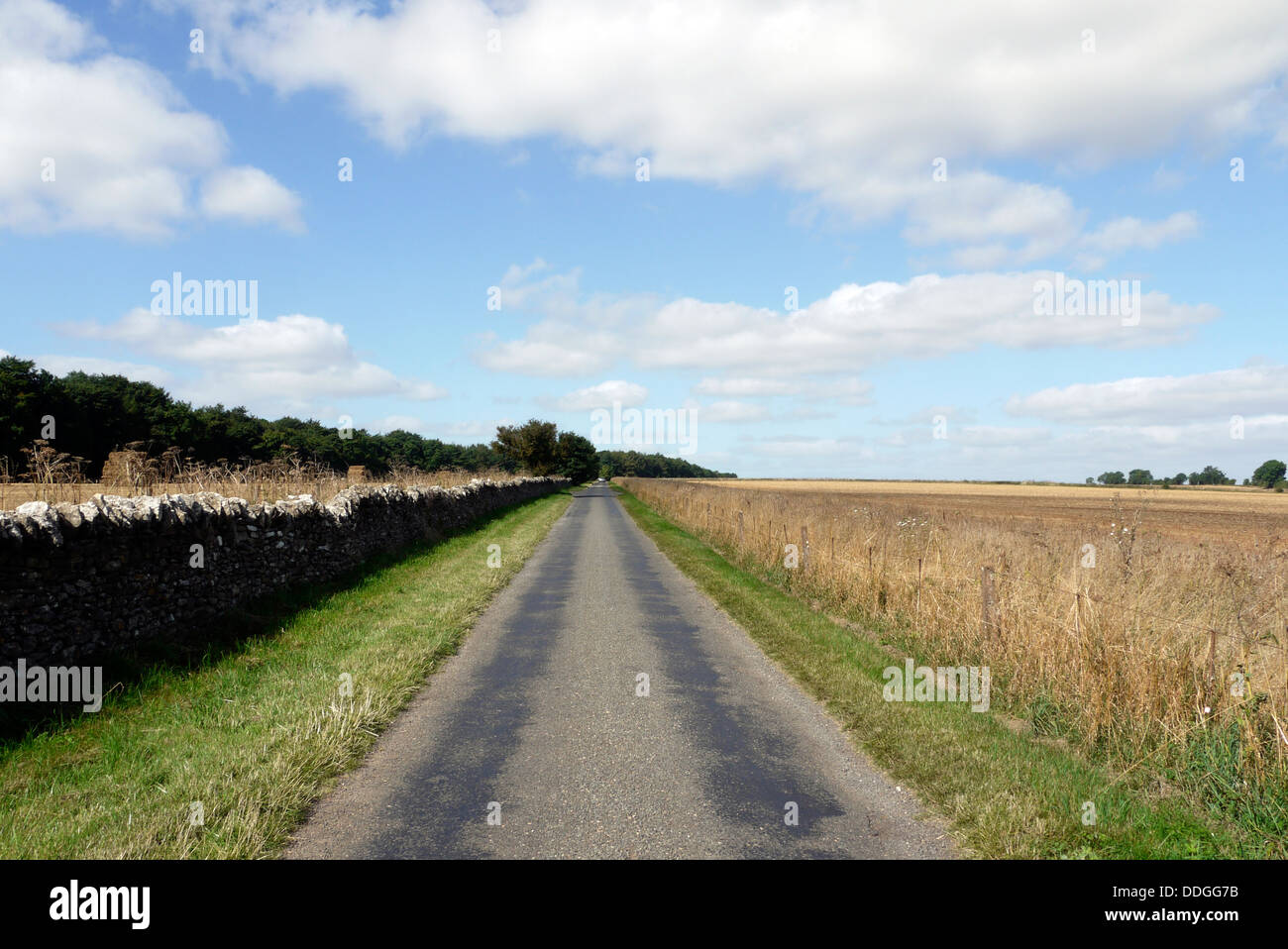 Uk narrow c road typical in the cotswolds hi-res stock photography and ...