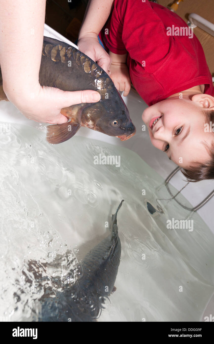 Child carp hi-res stock photography and images - Alamy