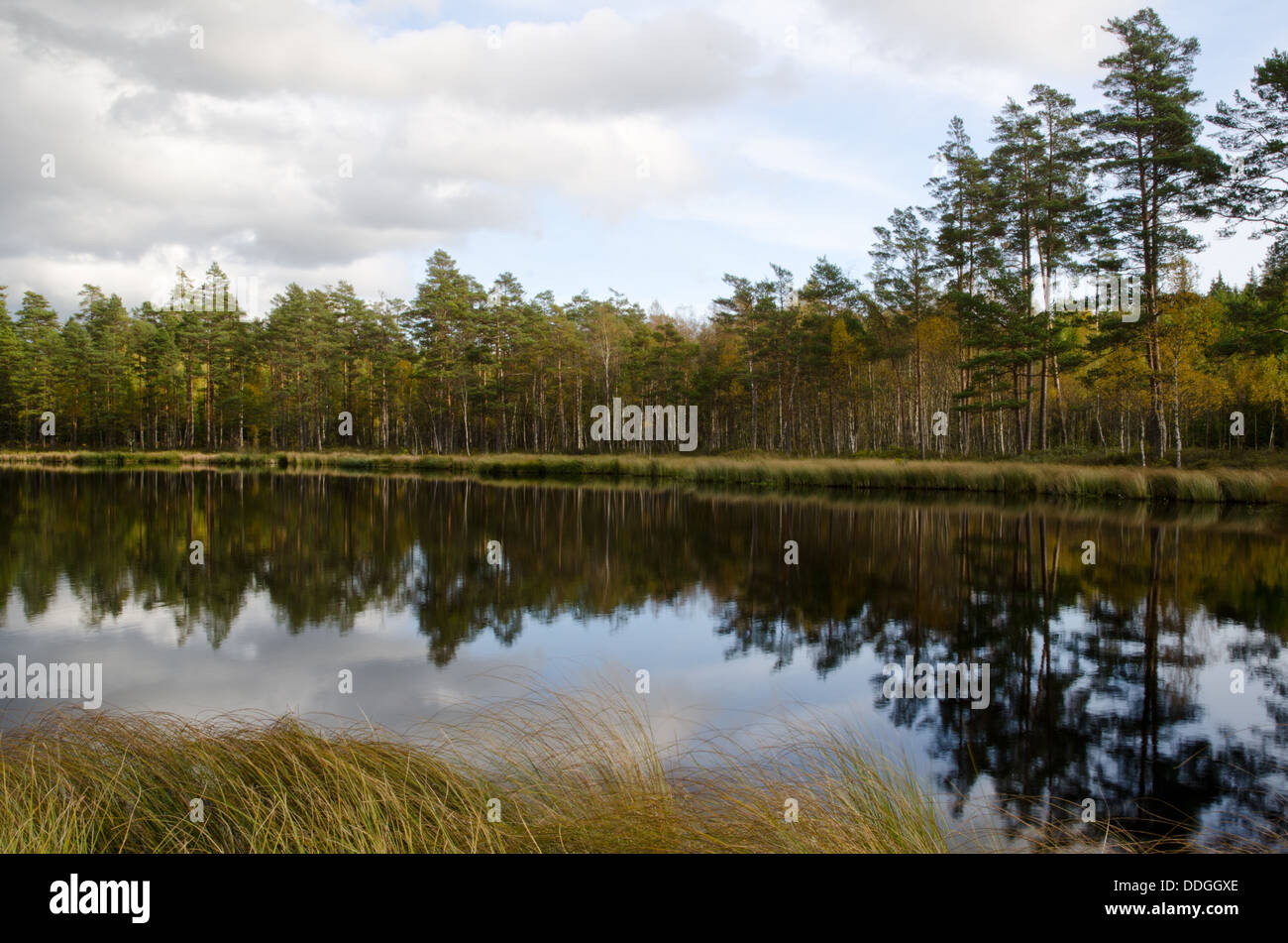 Calm lake view Stock Photo - Alamy
