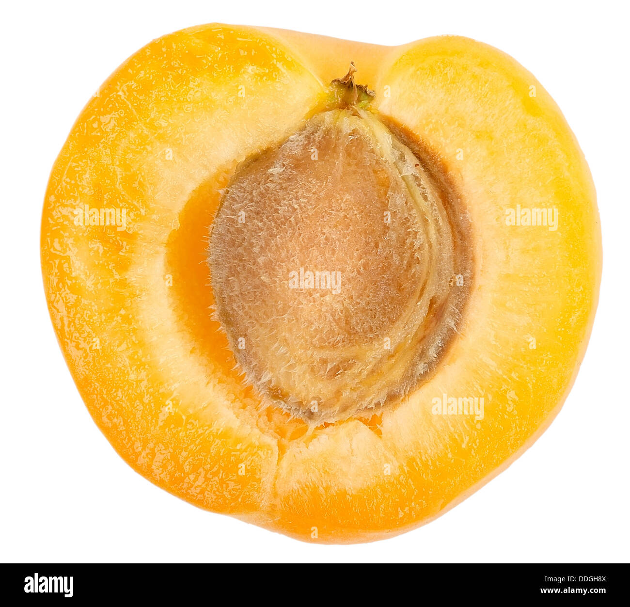 Sectioned image hi-res stock photography and images - Alamy