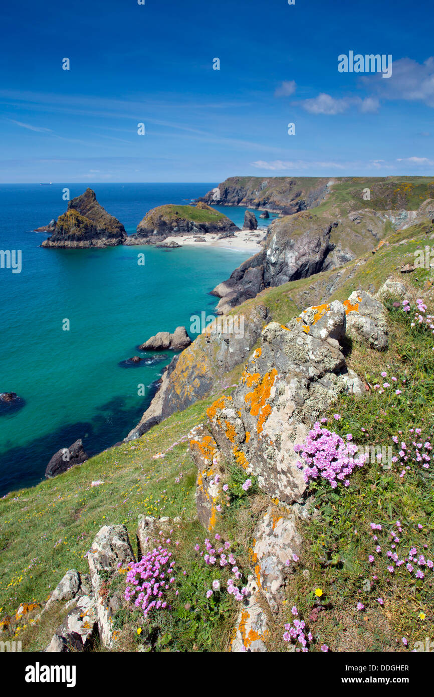 Kynance cove cornwall hi-res stock photography and images - Alamy