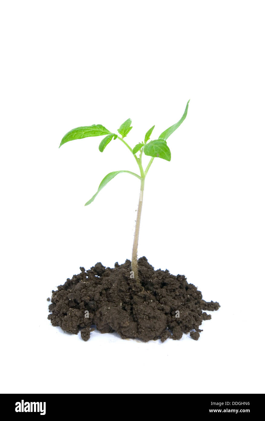 New beginnings Cut Out Stock Images & Pictures - Alamy