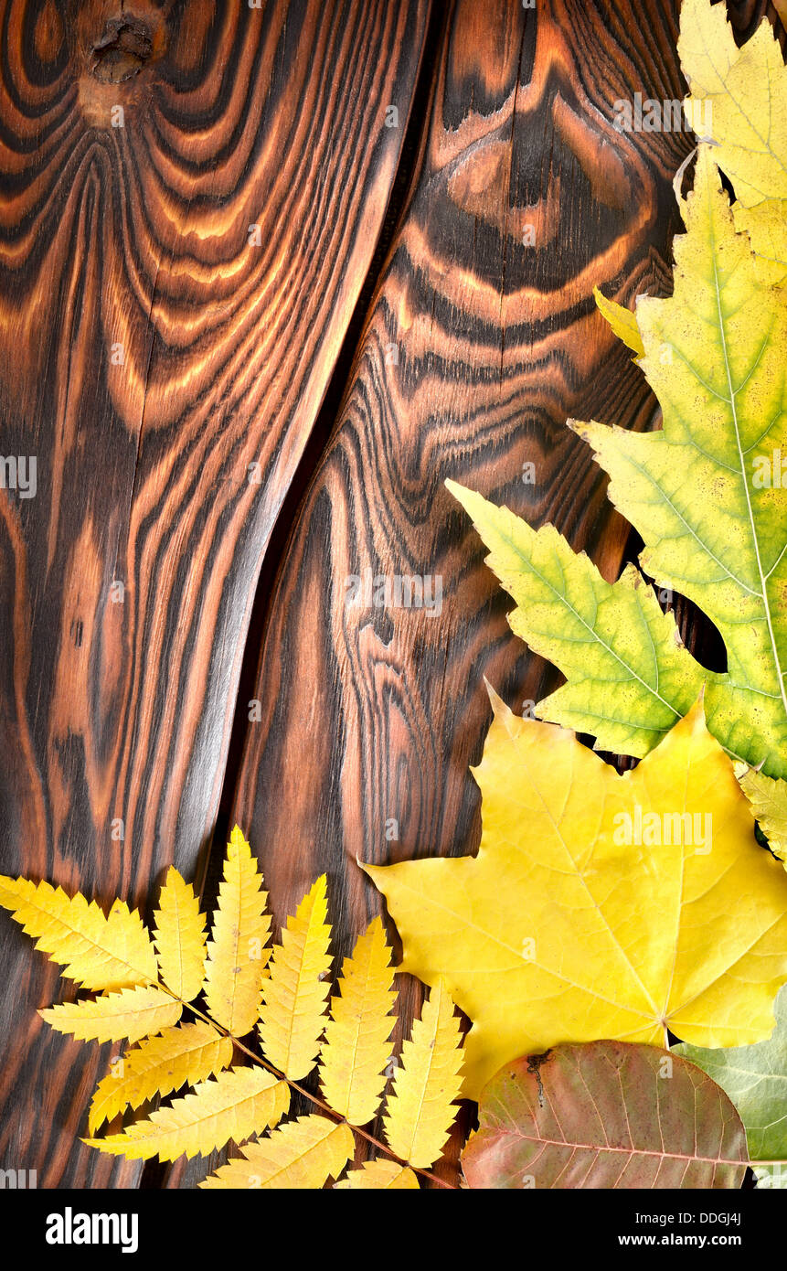 Textured vertical composition hi-res stock photography and images - Alamy
