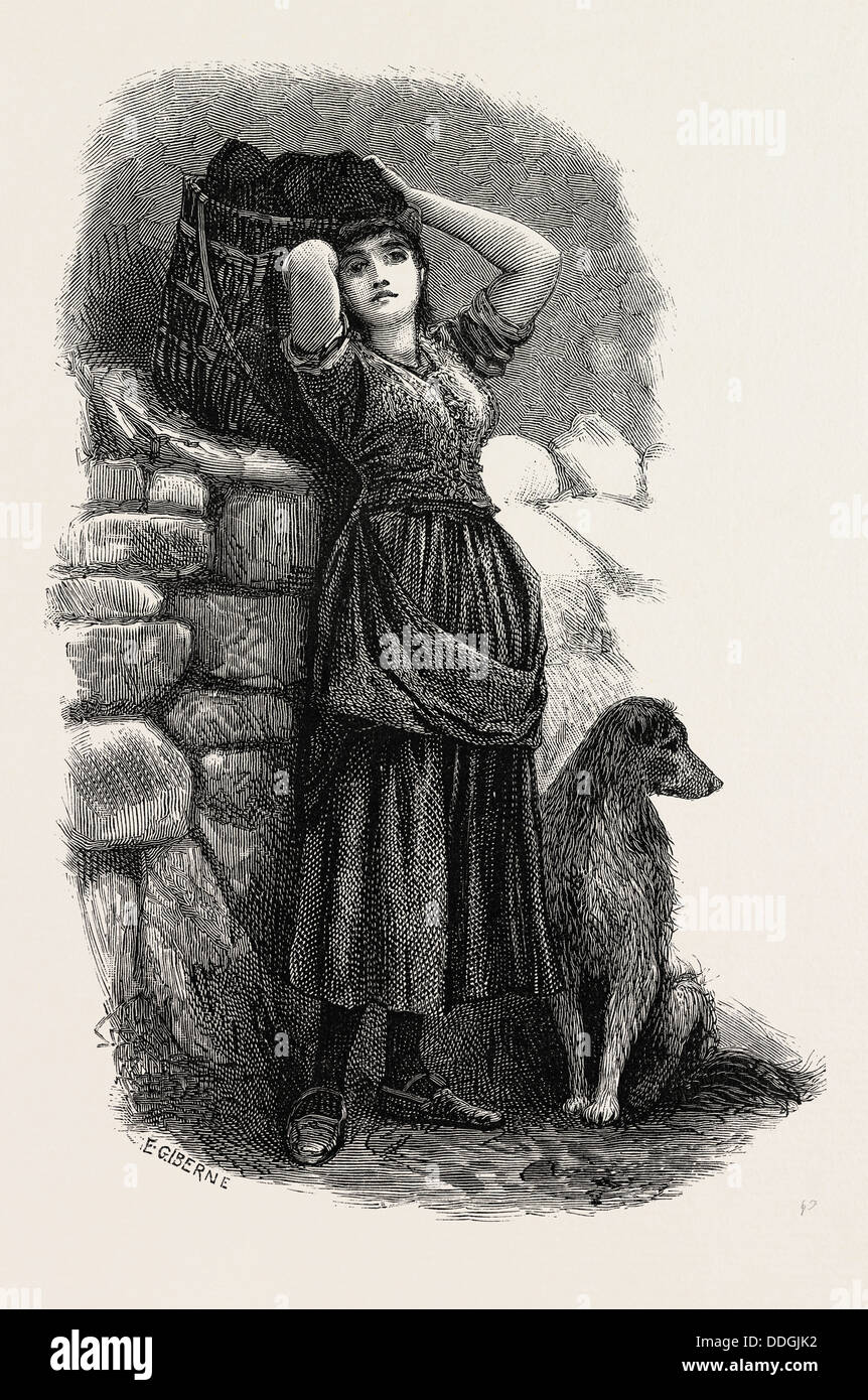 Peat style hi-res stock photography and images - Alamy