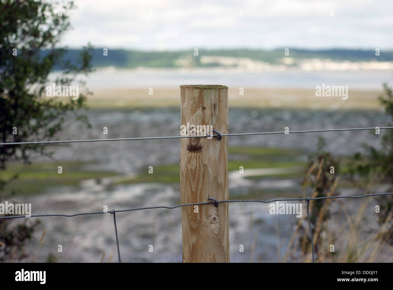 Wire country fence next to the beach in north wales uk Stock Photo - Alamy