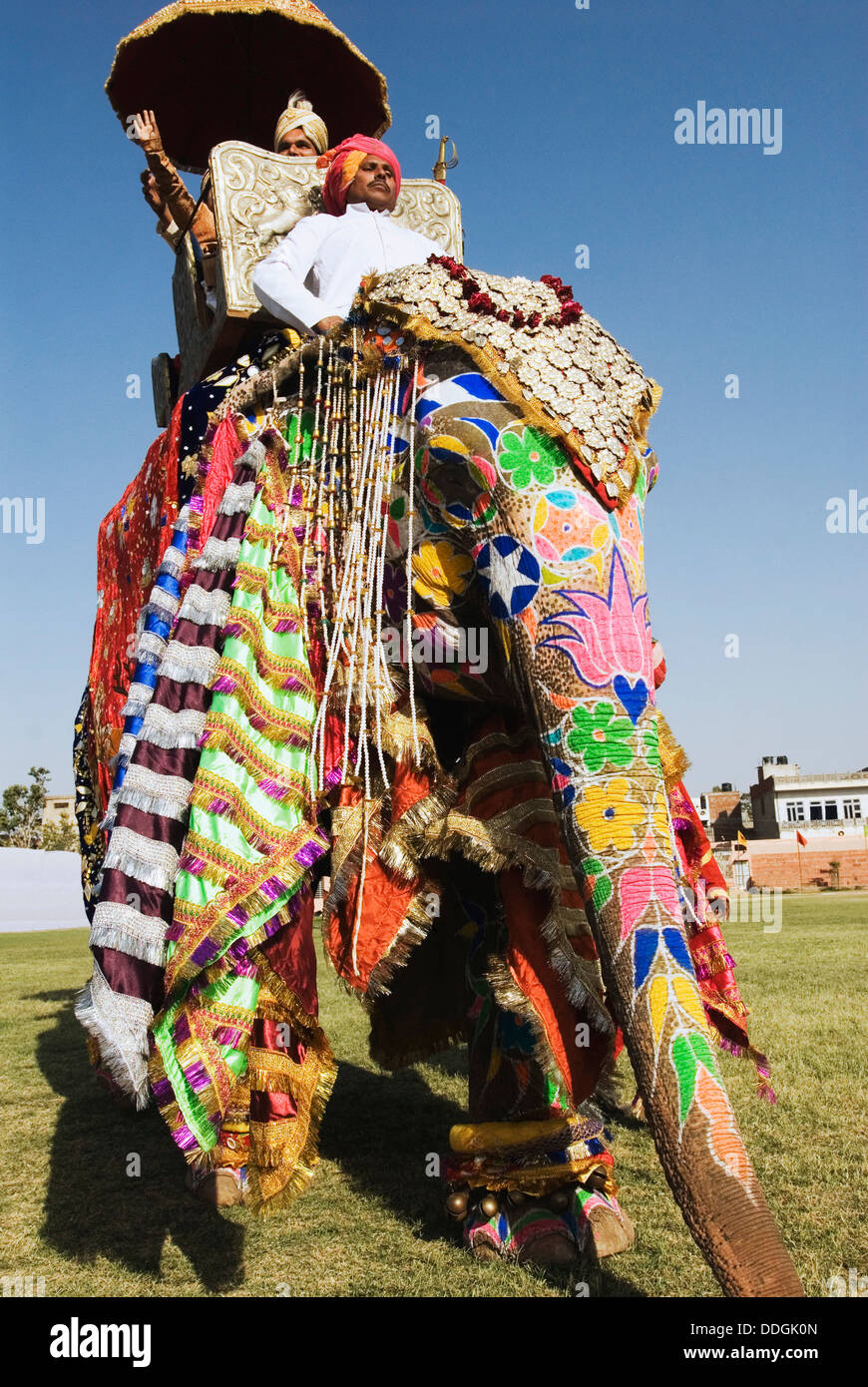 Elephant And Howdah Stock Photos & Elephant And Howdah Stock Images - Alamy