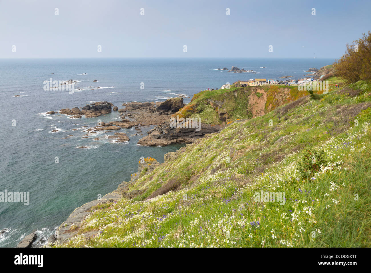 Lizard; Cornwall; UK Stock Photo - Alamy