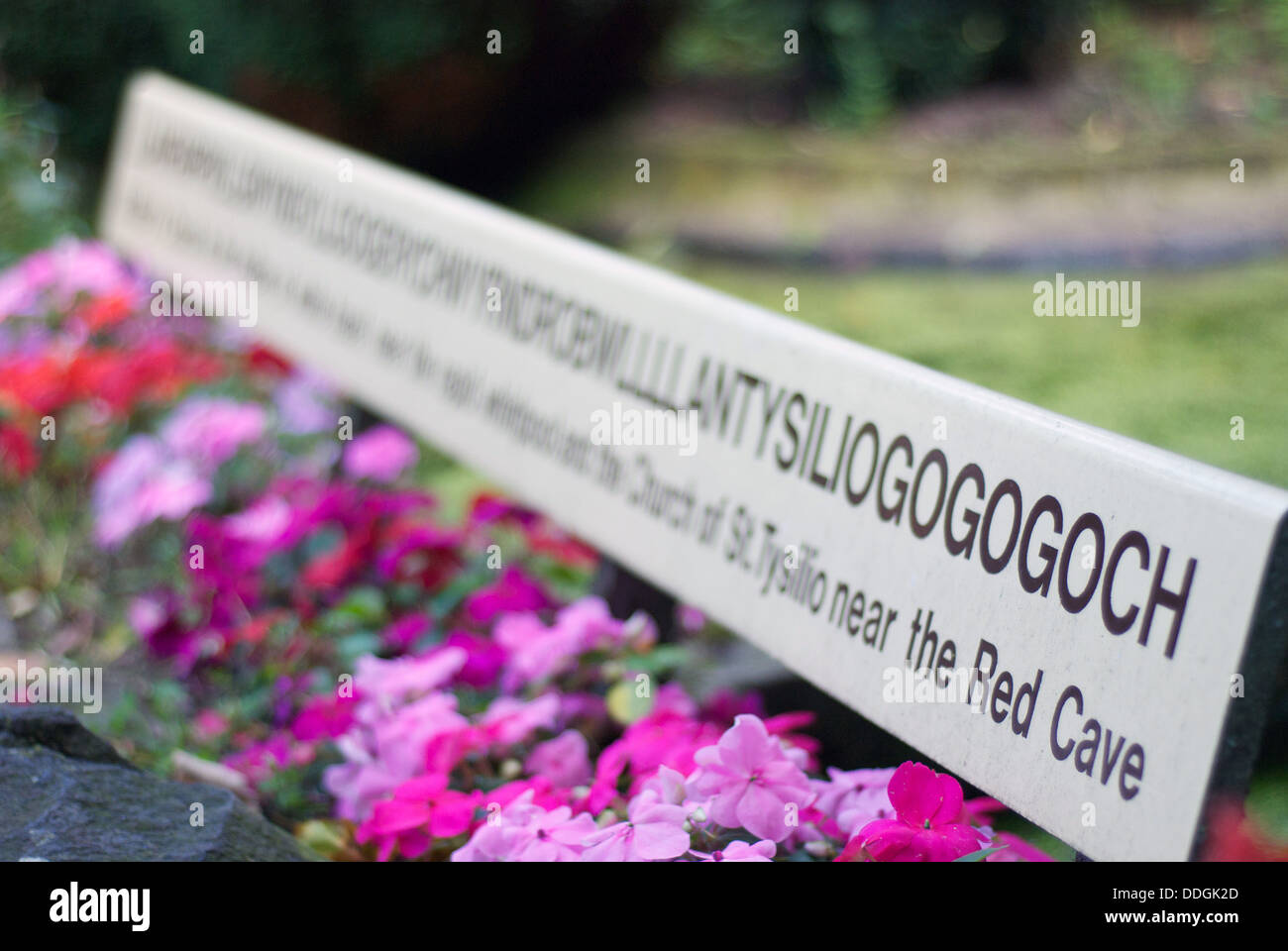 Llanfairpwllgwyngyllgogerychwyrndrobwyll-llantysiliogogogoch longest ...