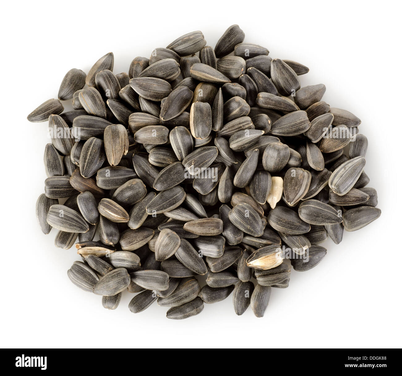 Sunflower seeds isolated Stock Photo - Alamy