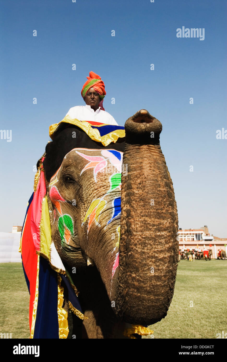 Royal elephant procession during Elephant Festival, Jaipur, Rajasthan ...