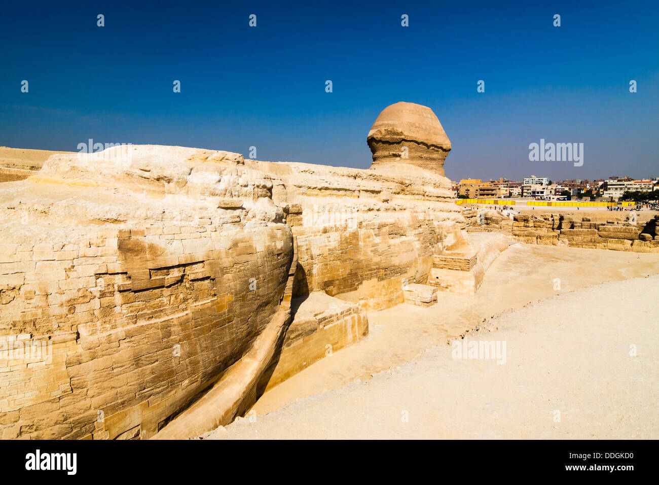 Back of sphinx egypt hi-res stock photography and images - Alamy