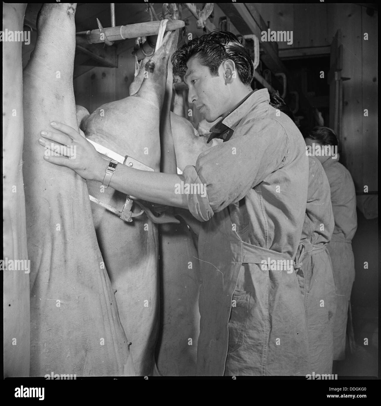 The image captures a view inside the slaughterhouse and butcher shop at ...