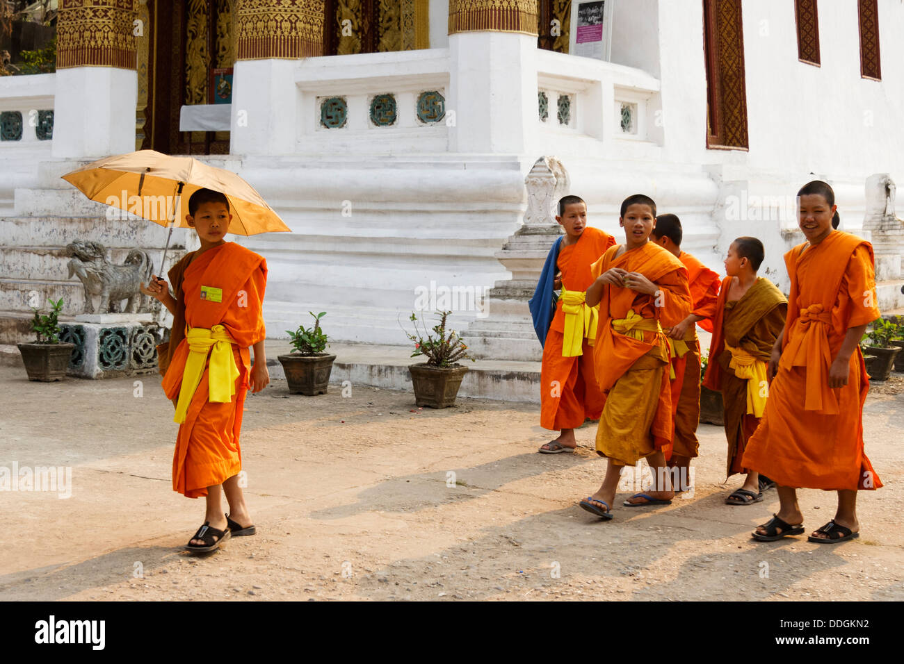 Novice monks laos hi-res stock photography and images - Alamy