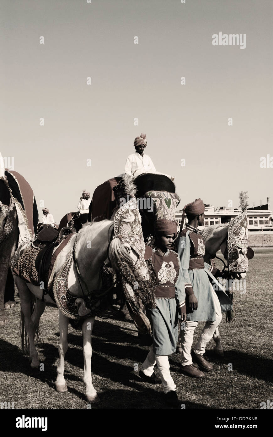 White horse royal india hi-res stock photography and images - Alamy