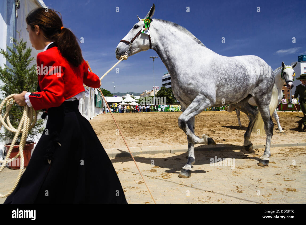 Spanish Horse Rider Stock Photos & Spanish Horse Rider Stock Images - Alamy
