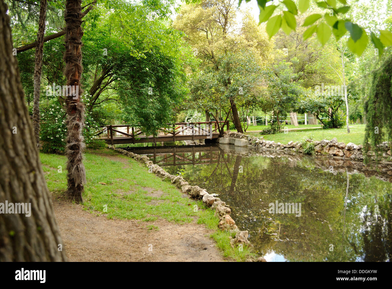 Retiro park madrid blossom hi-res stock photography and images - Alamy