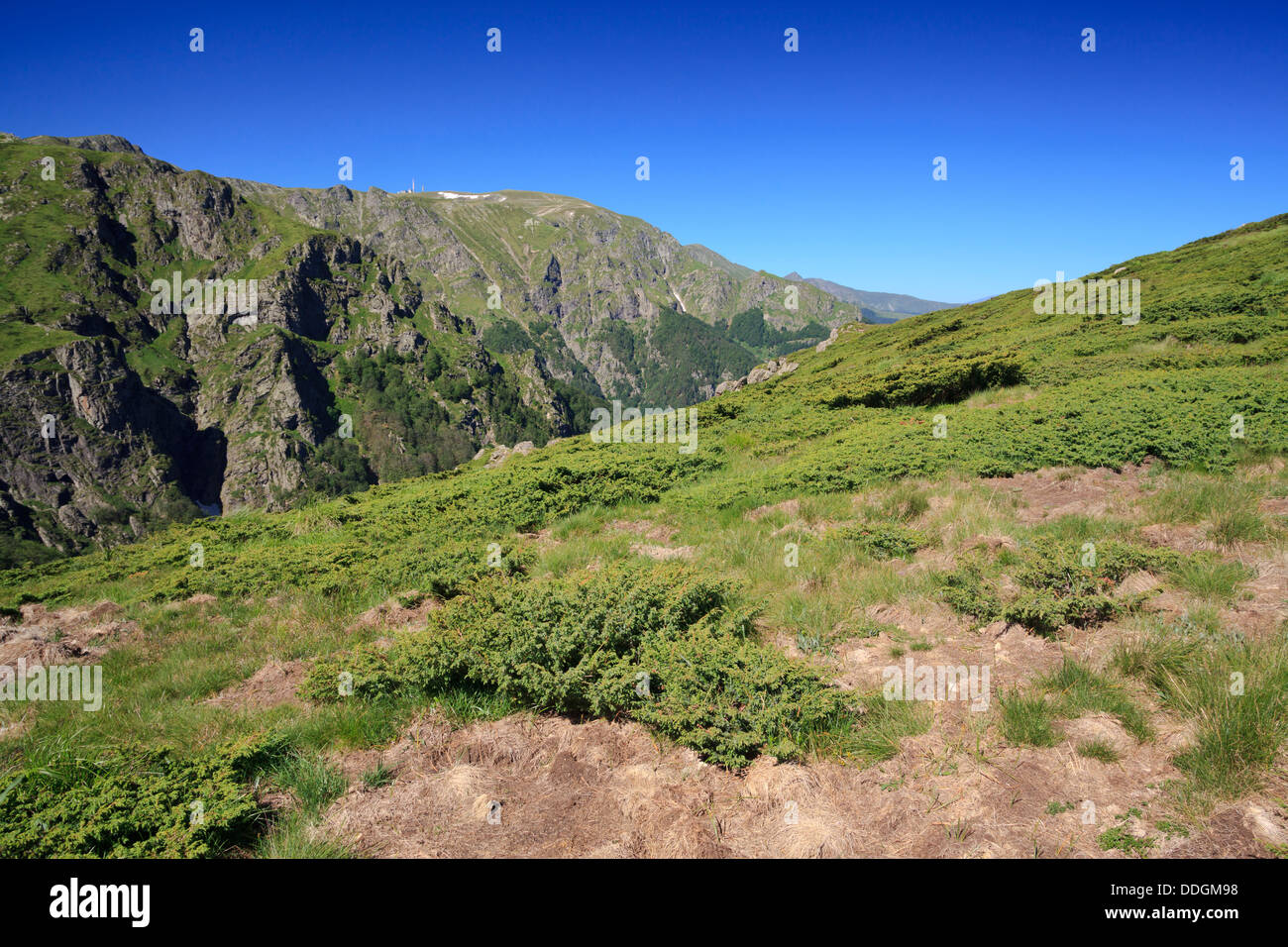 Botev Peak. Central Balkan National Park. Bulgaria Stock Photo - Alamy