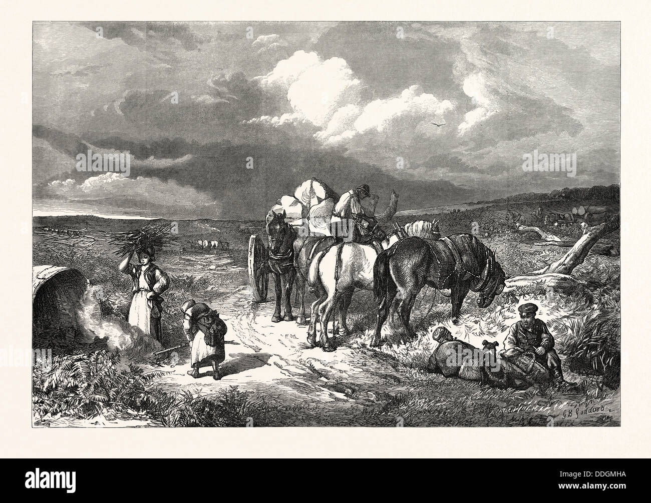 New forest history hi-res stock photography and images - Alamy