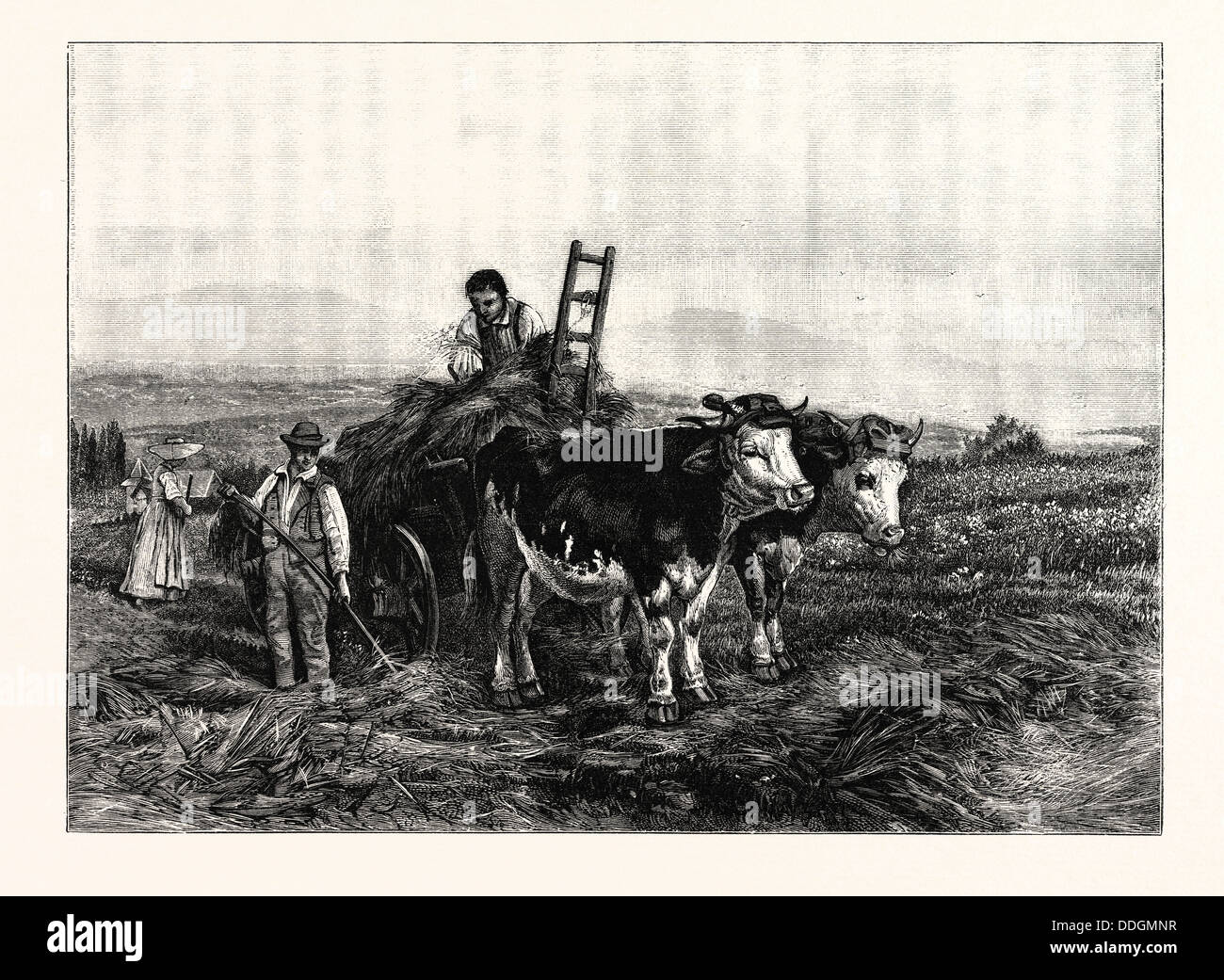 Making hay vintage hi-res stock photography and images - Alamy