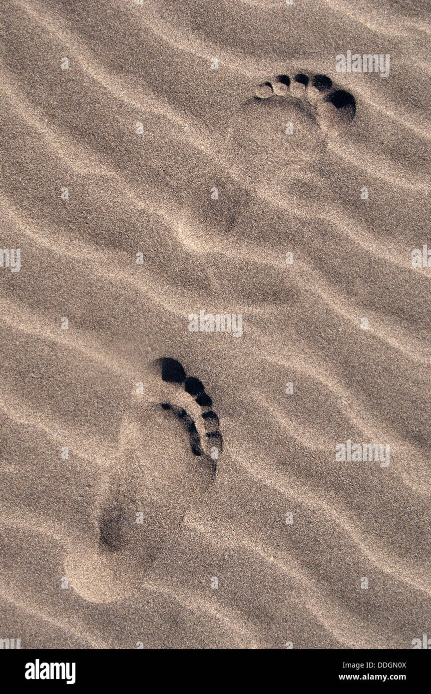 footprints in the sand on a beach Stock Photo - Alamy