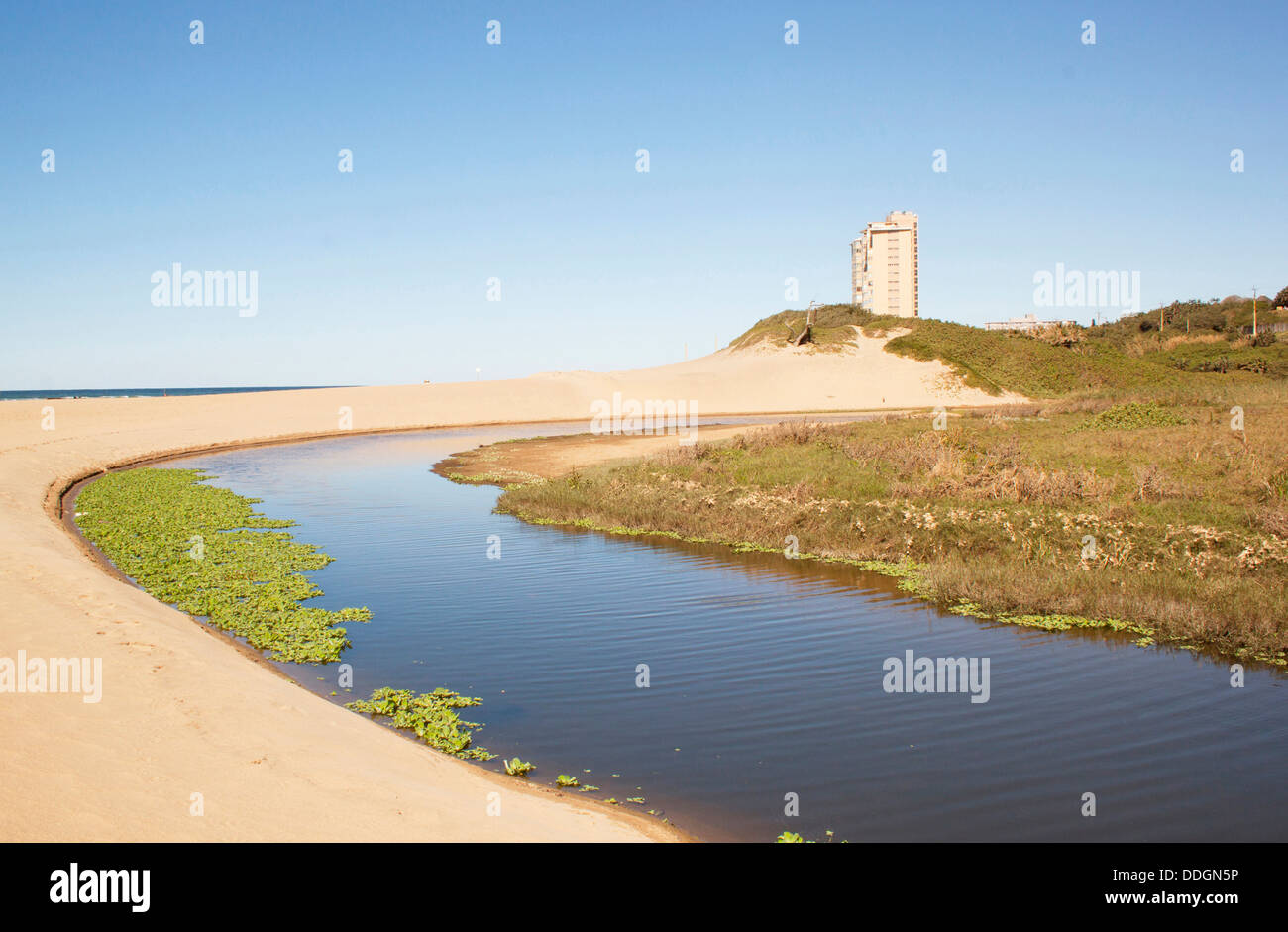 A closed lagoon inlet to the ocean at low tide surrounded by sand dunes ...