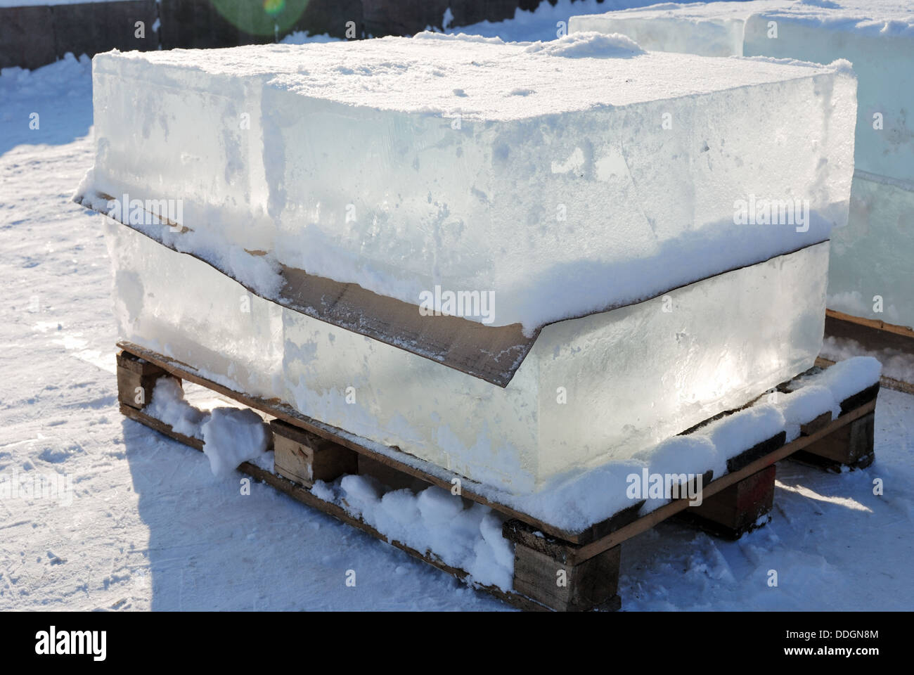 big translucent ice blocs: preparations for the ice sculpture festival ...