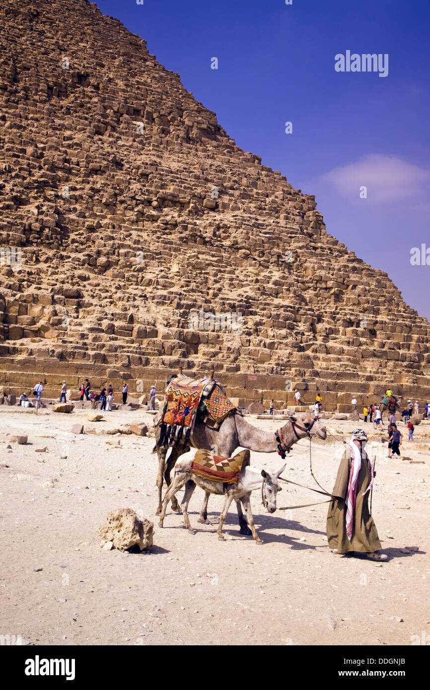 Camel rides are available at the great Pyramids of Giza, Egypt Stock ...