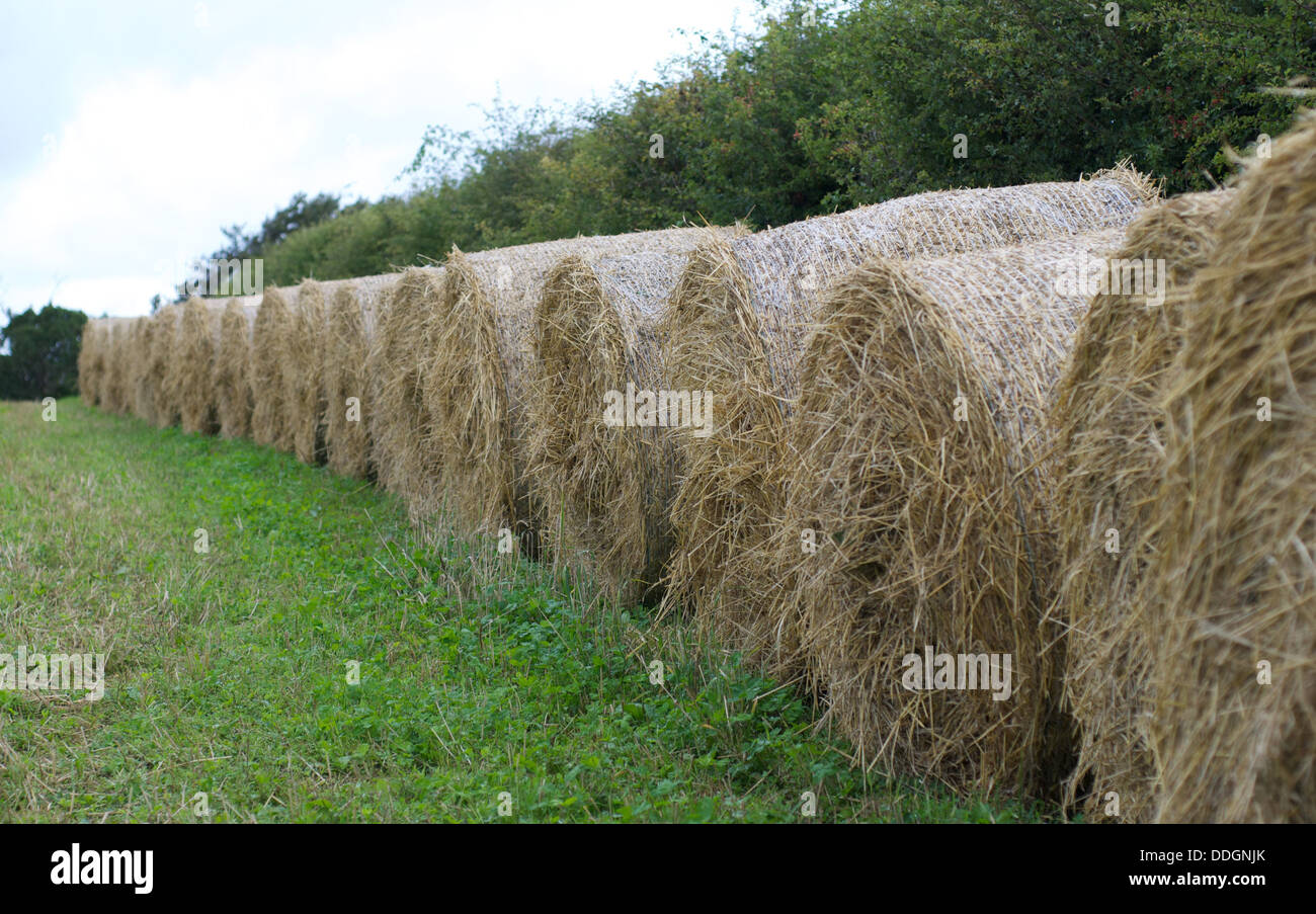 Straw bale stacks hi-res stock photography and images - Alamy
