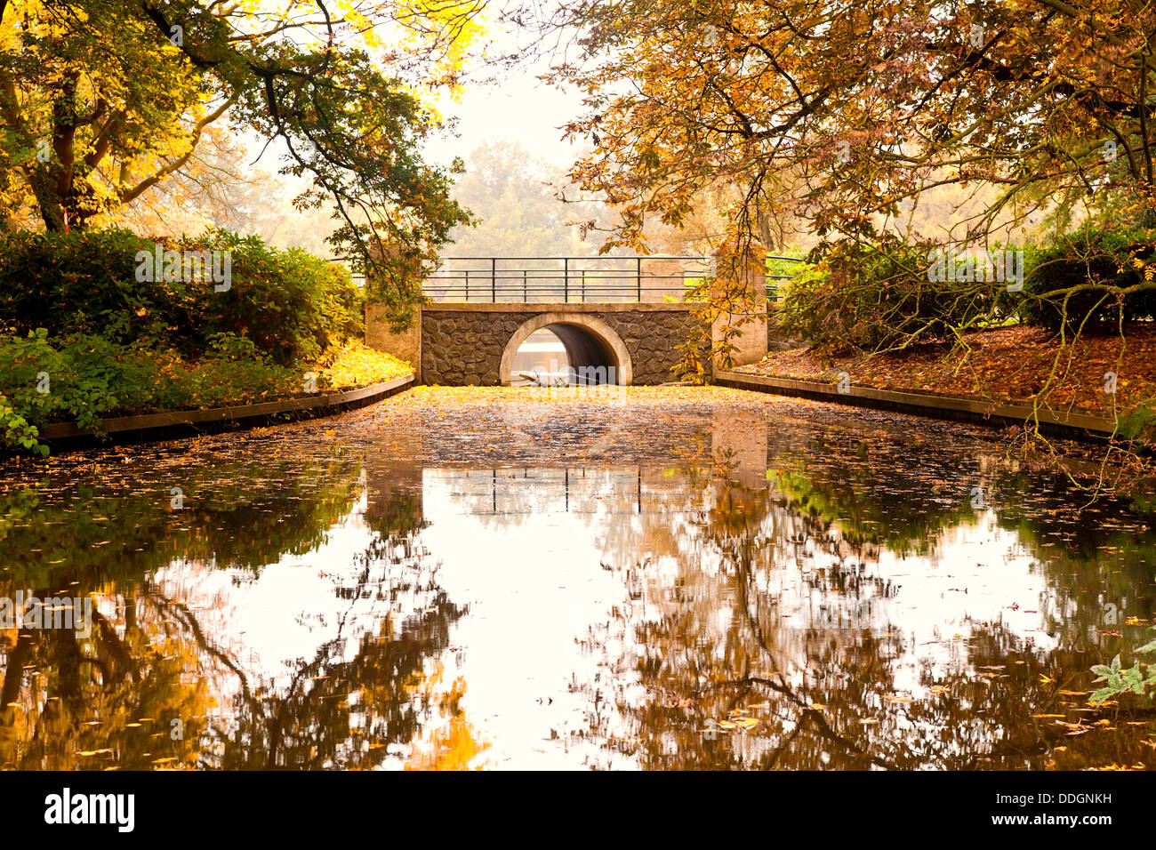 stone bridge over river Stock Photo - Alamy