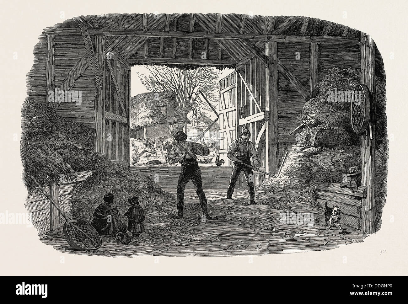 Thrashing grain hi-res stock photography and images - Alamy