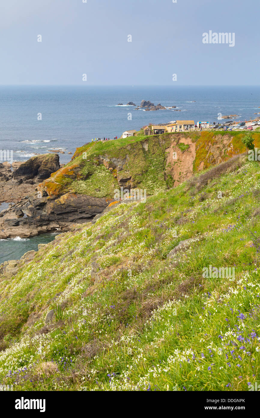 Lizard people hi-res stock photography and images - Alamy