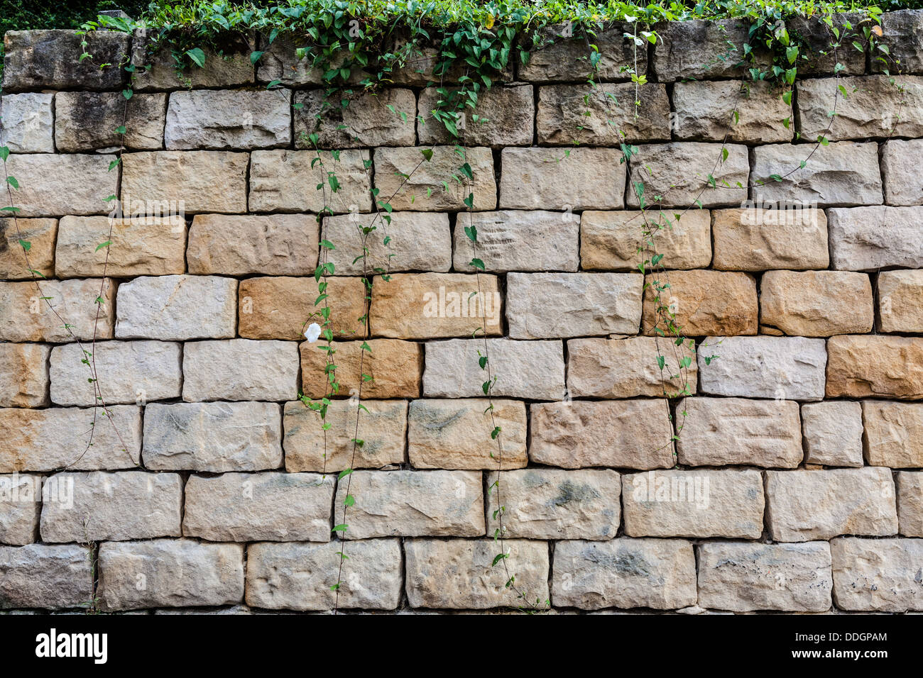 Big bricks and vegetation background Stock Photo - Alamy