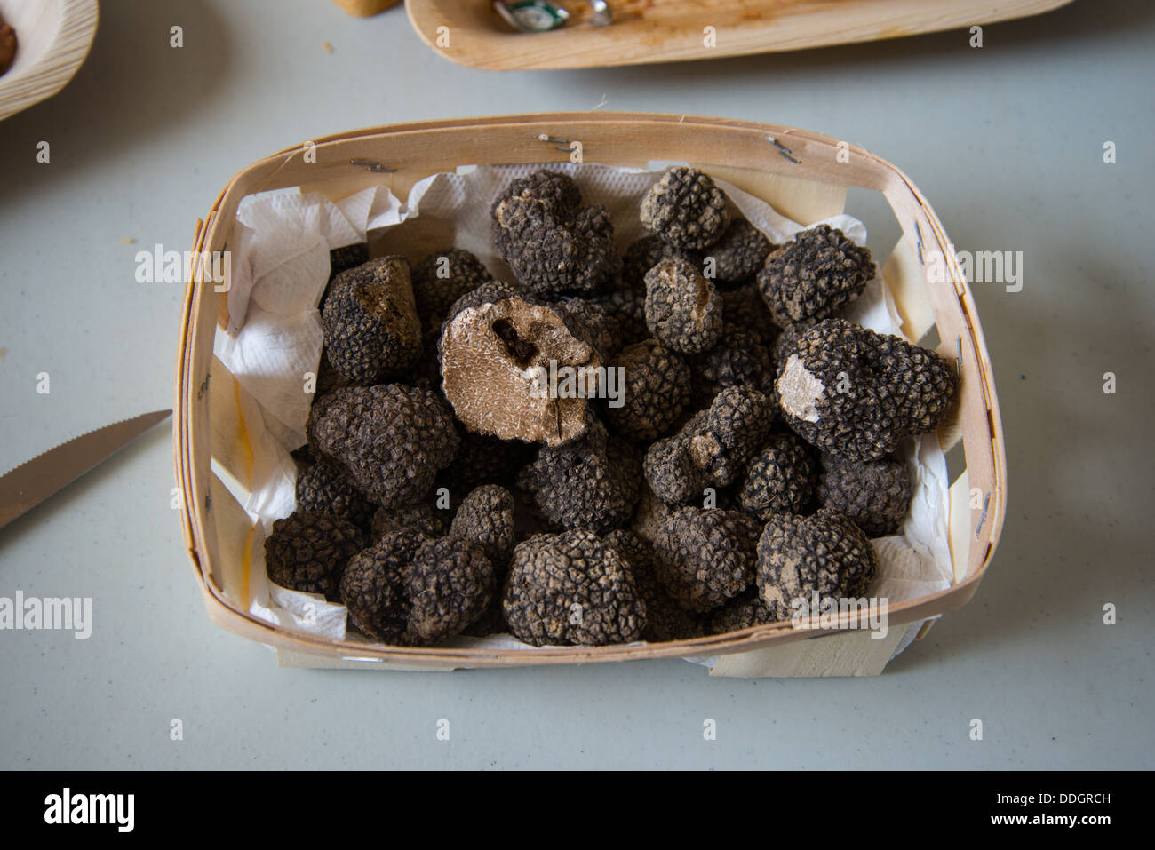 Truffle fungi hi-res stock photography and images - Alamy