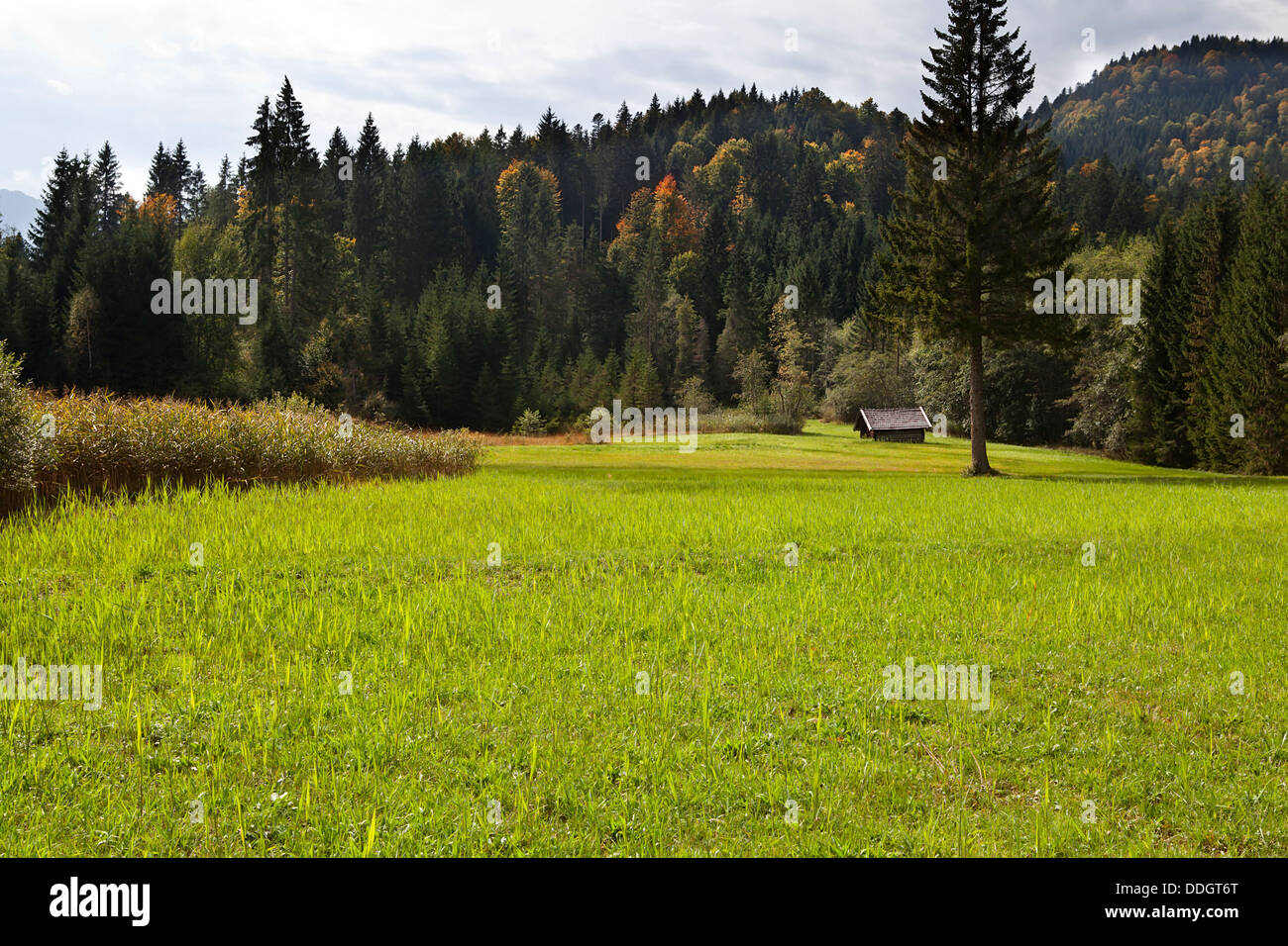 wooden hut in the forest Stock Photo - Alamy