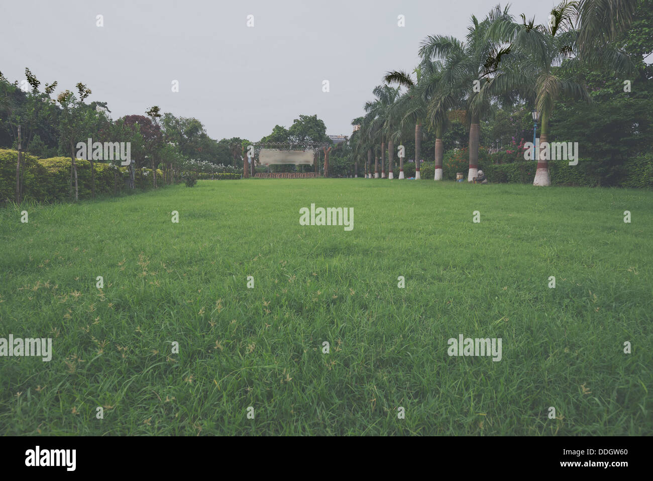 Monsoon environment hi-res stock photography and images - Alamy