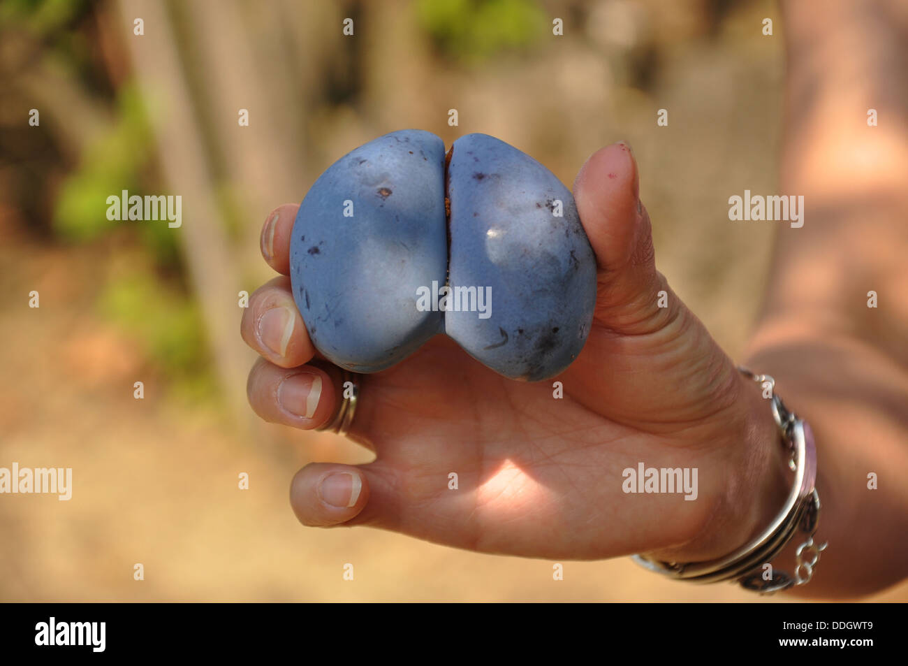 Deformed hand hi-res stock photography and images - Alamy