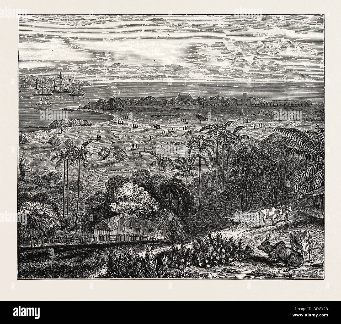 Point de galle hi-res stock photography and images - Alamy