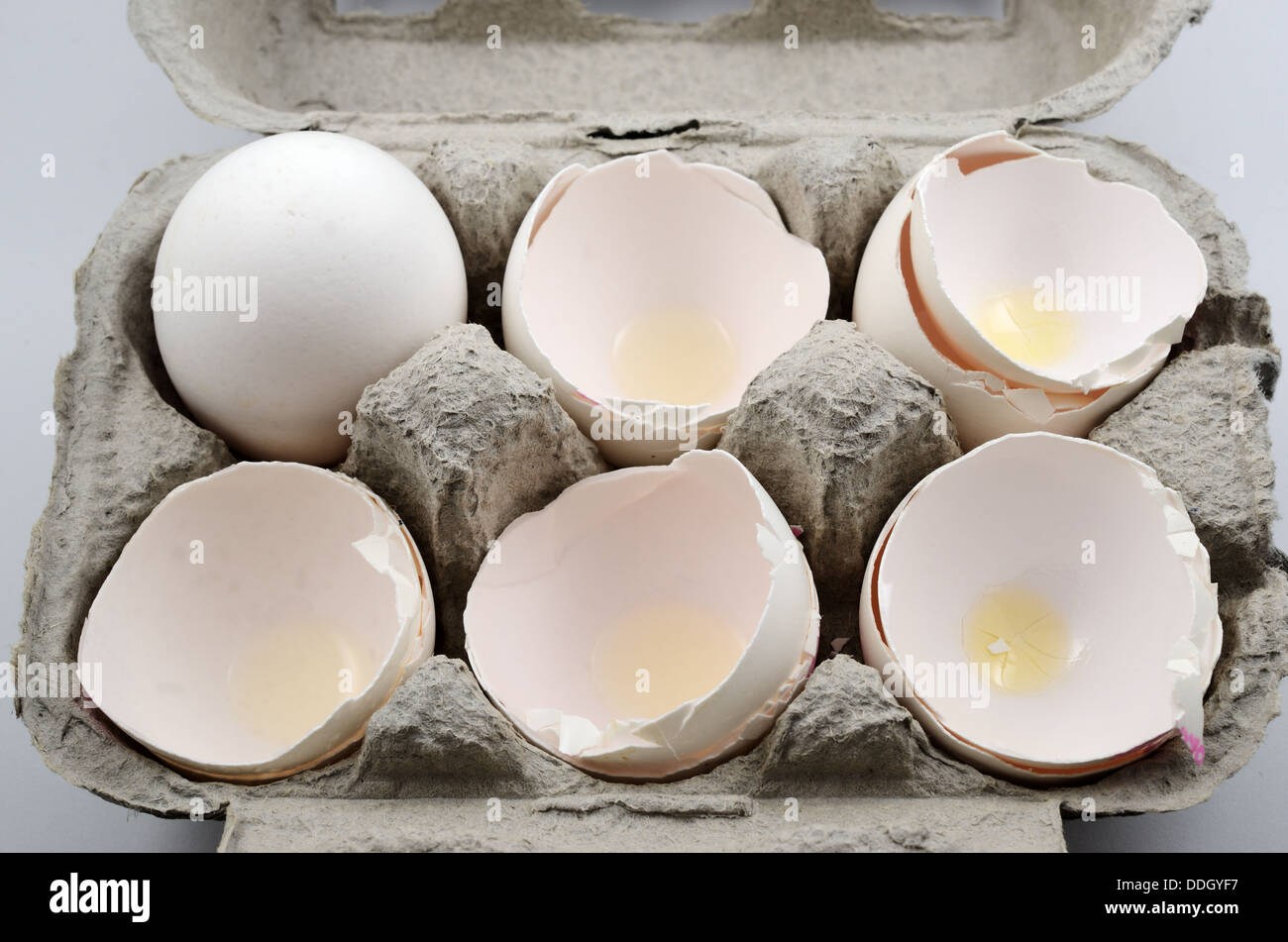 egg and egg shells in cardboard container Stock Photo - Alamy