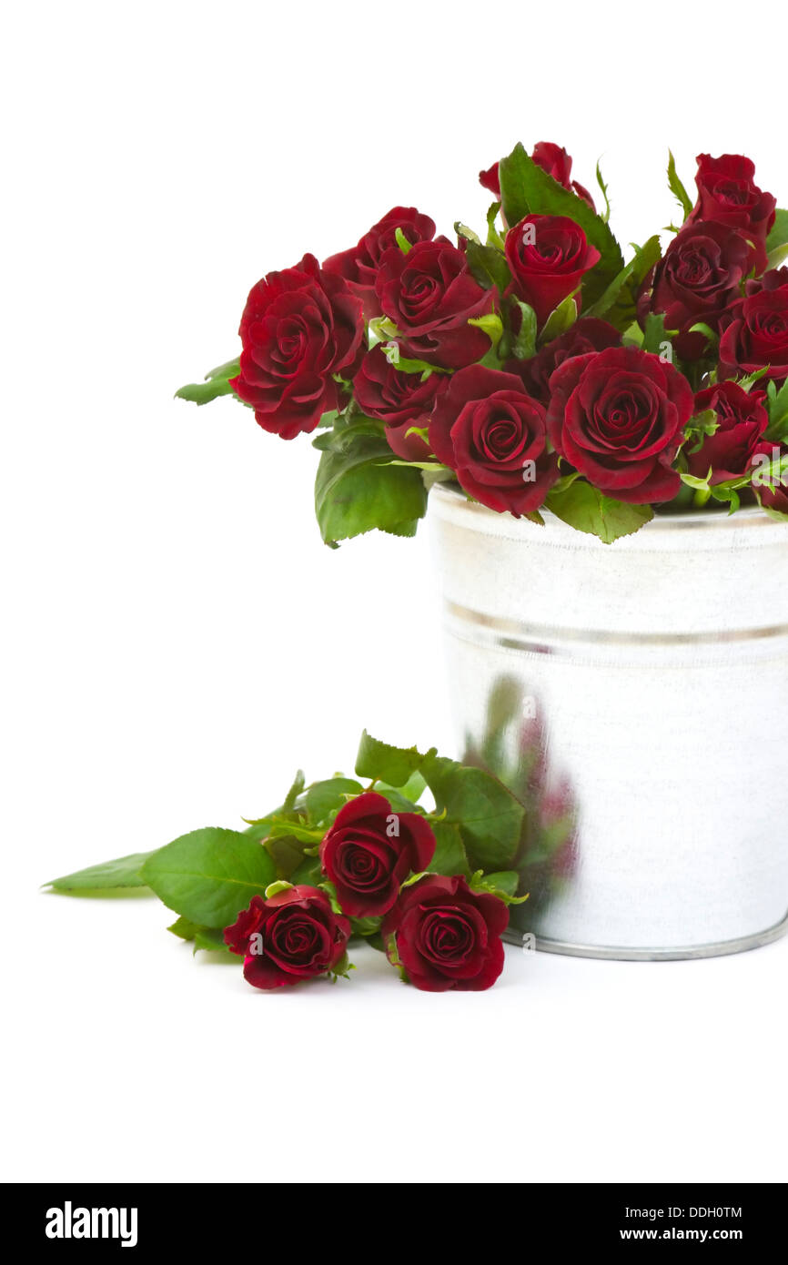 red roses in a bucket Stock Photo - Alamy
